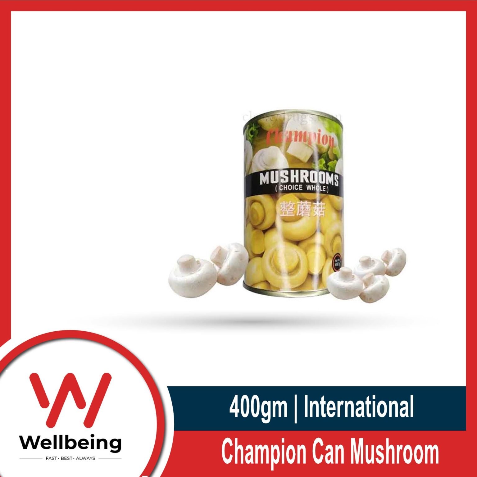 Champion Can Mushroom – 400g Whole – Well Being
